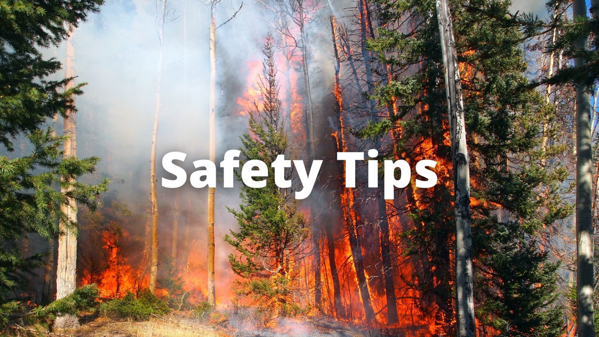 How to Survive Wildfire Season Best Safety Tips - Carolyn's RV Life