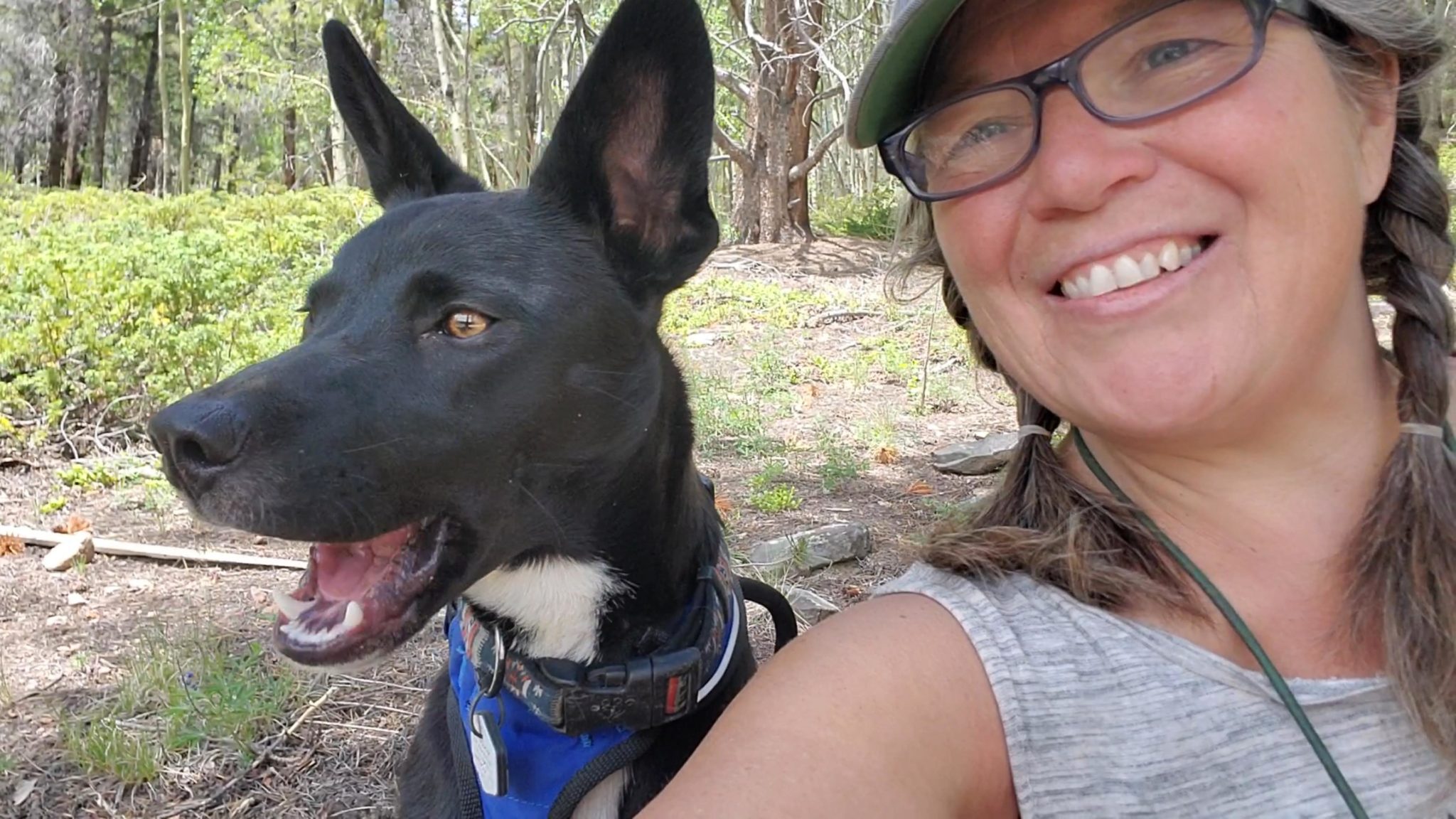 Full Time RV Living - Carolyn's RV Life